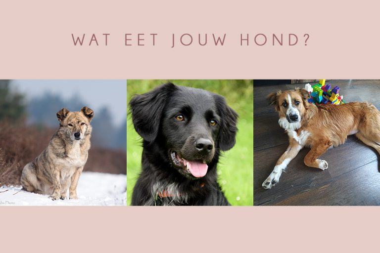 Wat eten Lou, Stip en Romke? - Belle Fae